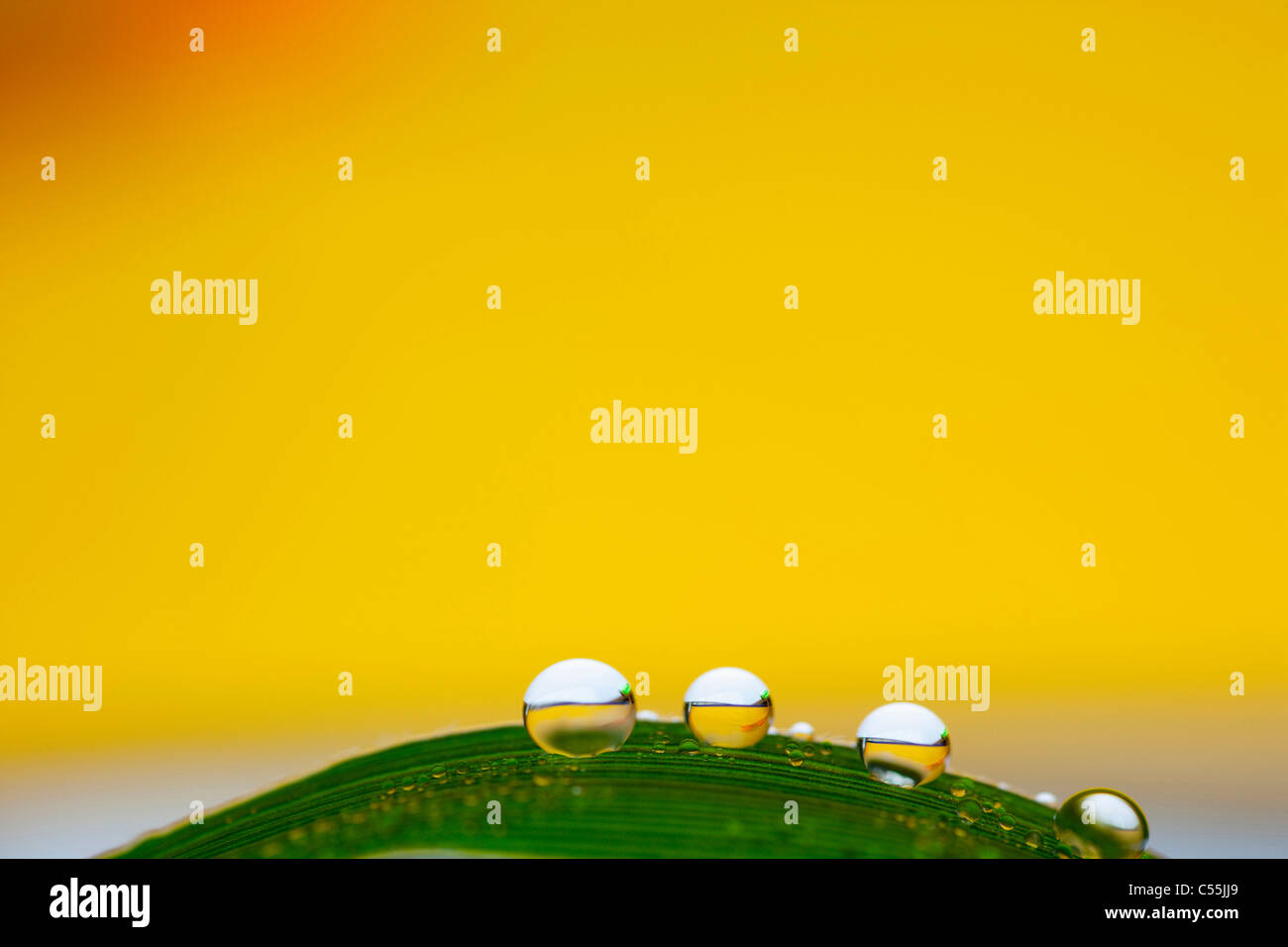Green projection hi-res stock photography and images - Alamy