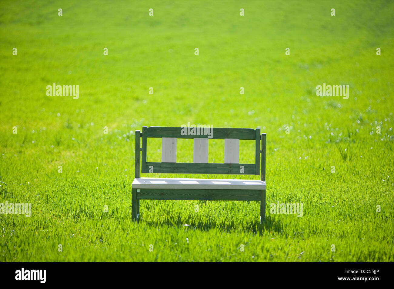 bench in the green field Stock Photo - Alamy