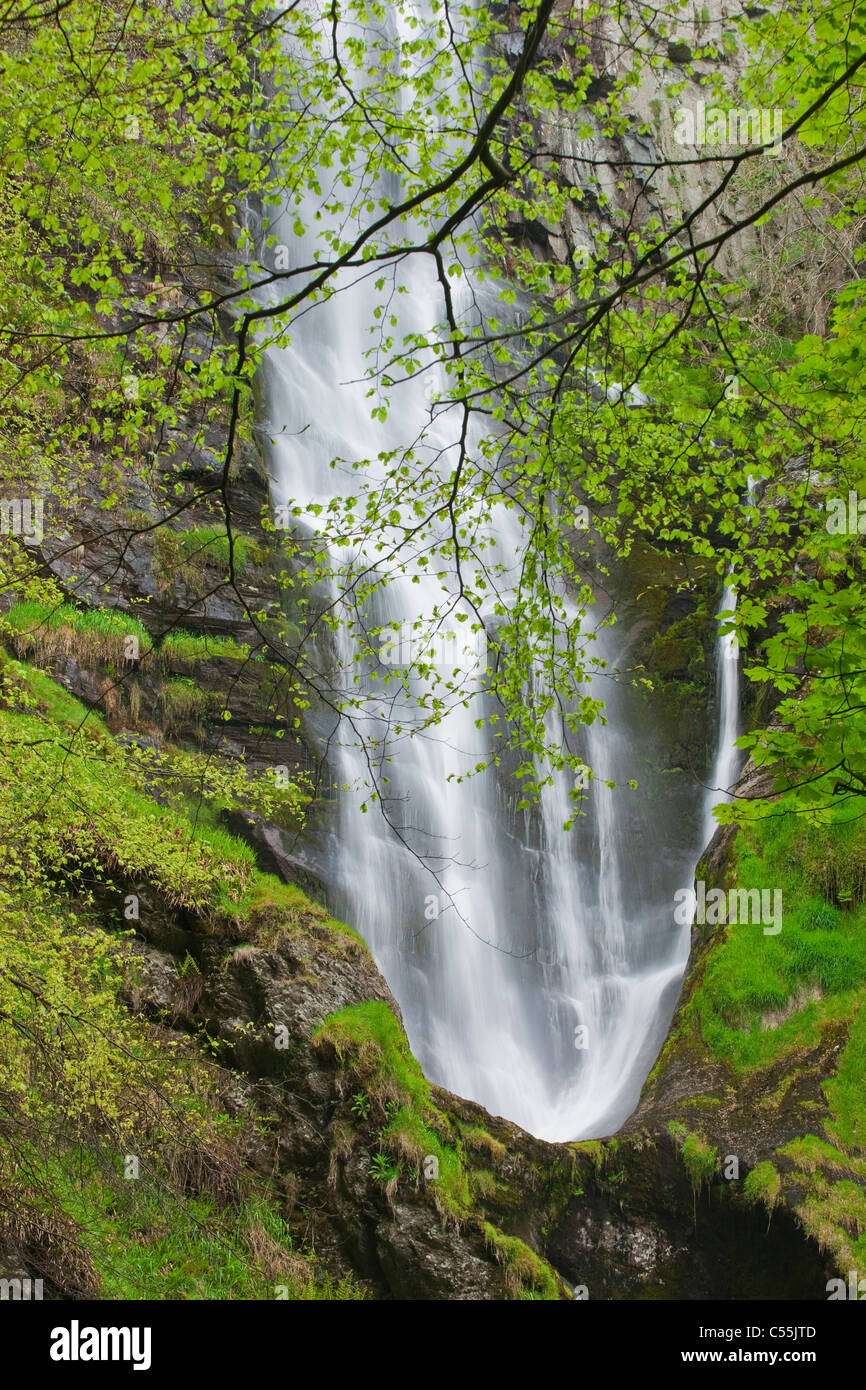 Pistyll rhaeadr waterfalls, wales hi-res stock photography and images ...