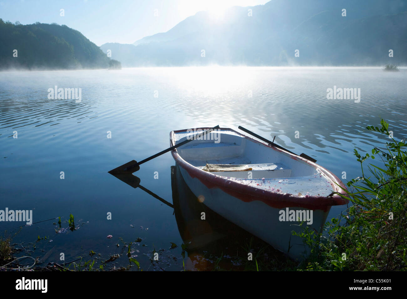 boat on the river Stock Photo - Alamy