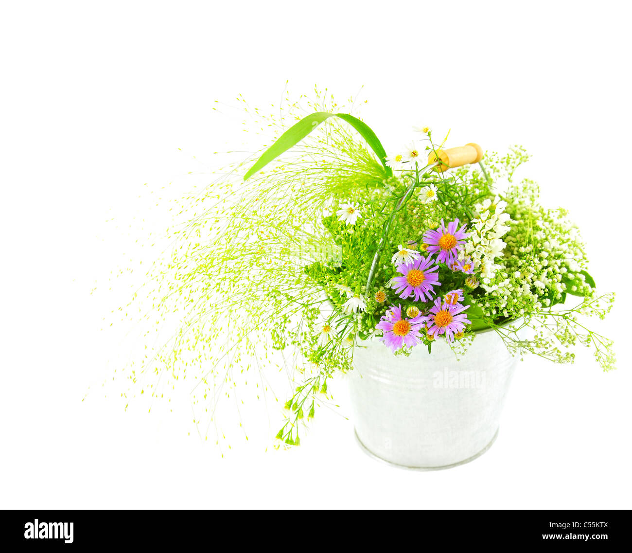Bucket of spring fresh wild flowers isolated on white background Stock ...