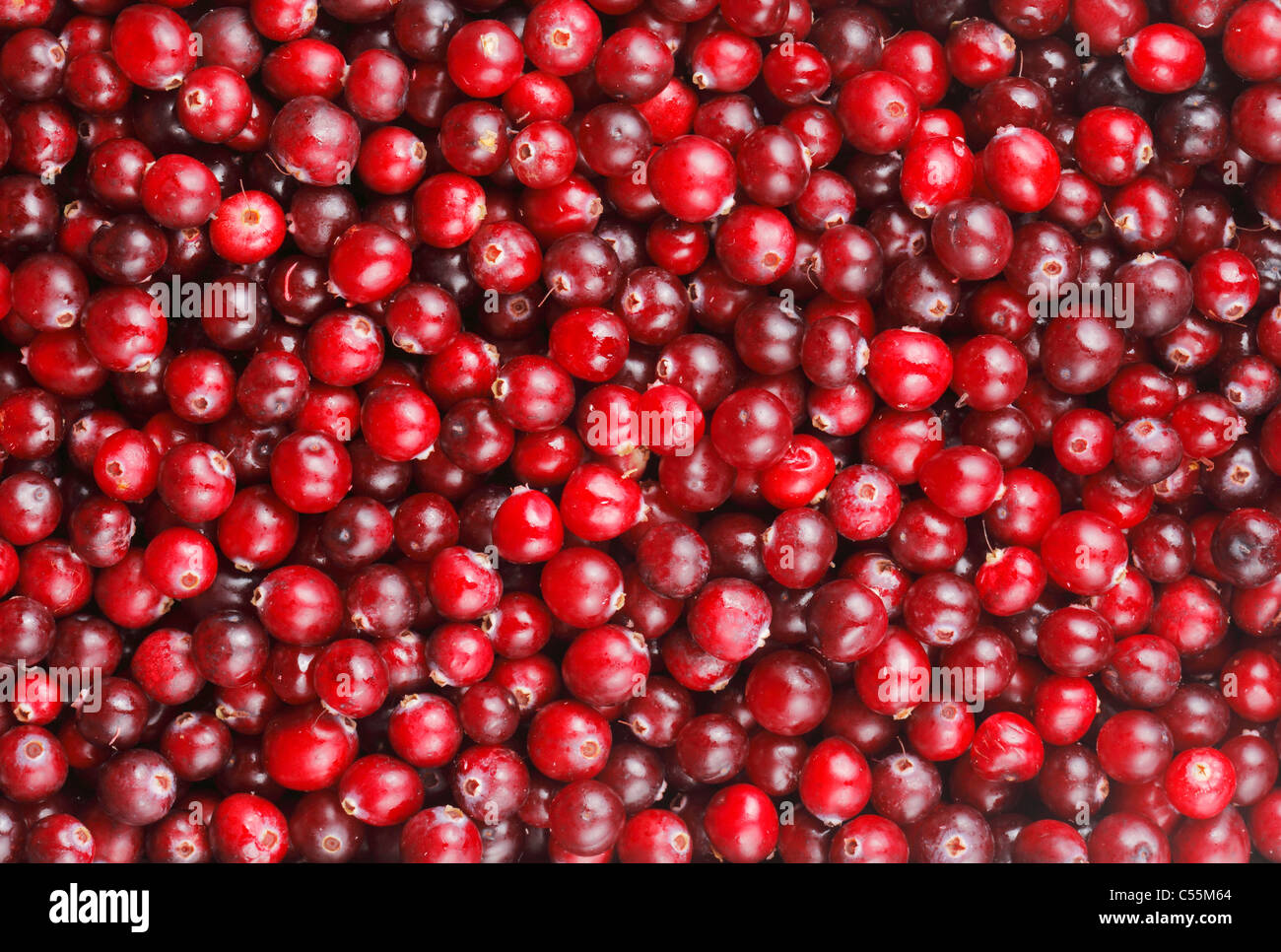 Red cranberries in a background texture Stock Photo - Alamy