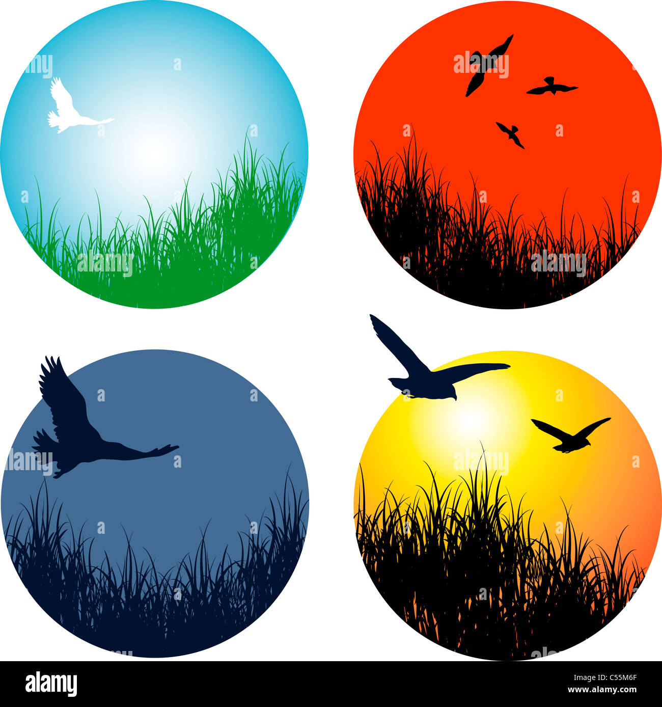 Various landscapes with birds Stock Photo - Alamy