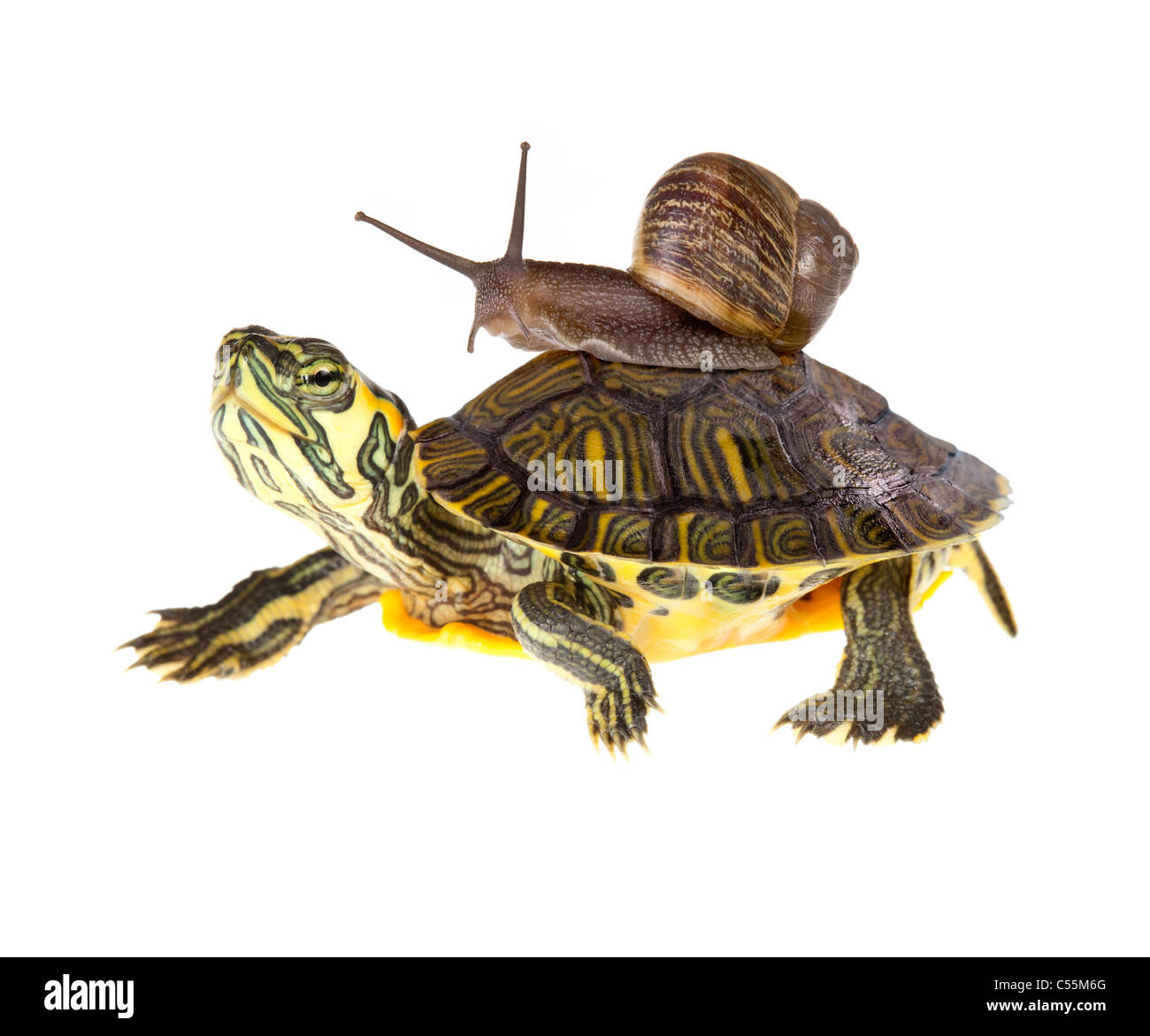 Funny lift hi-res stock photography and images - Alamy