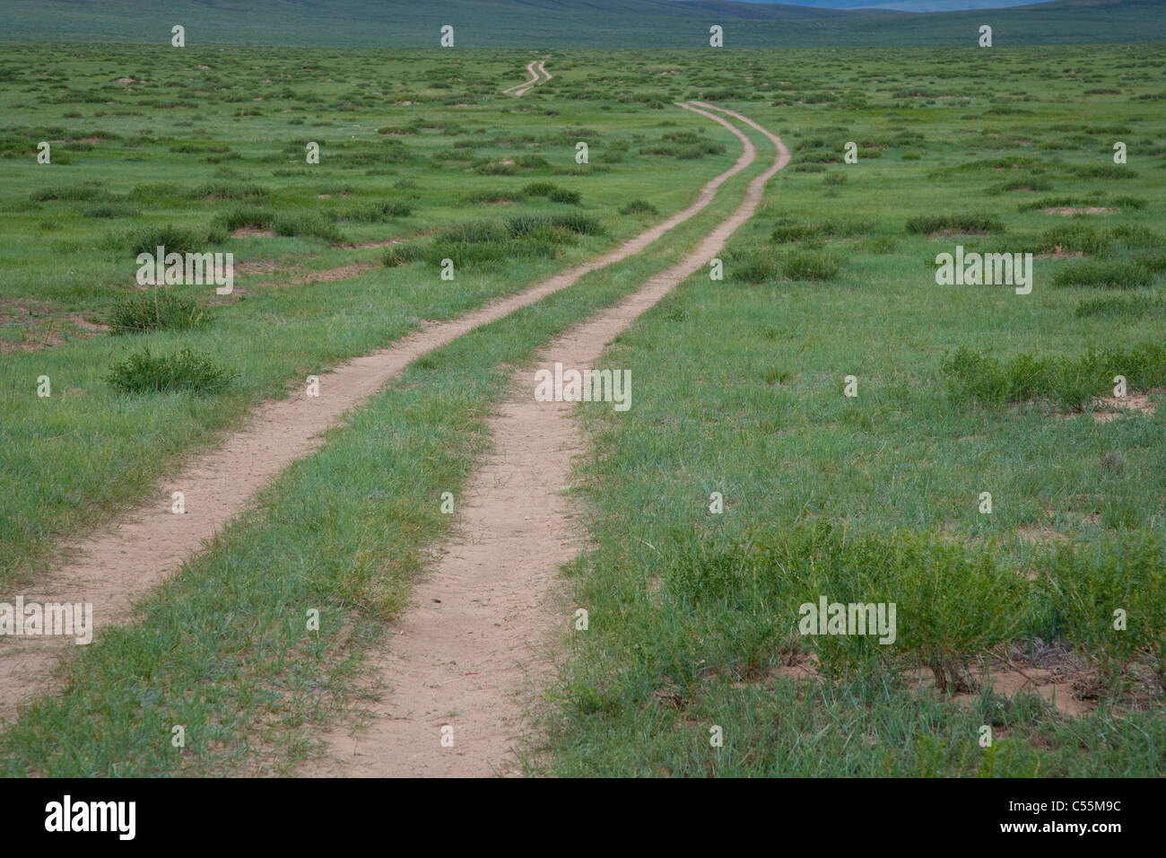 path in field Stock Photo - Alamy