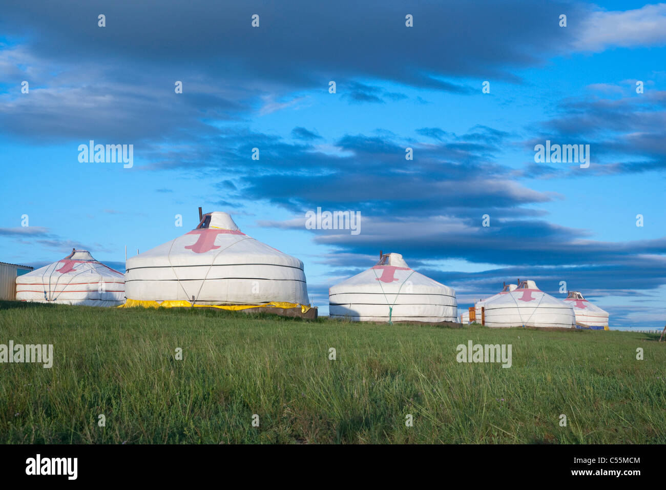 Grassy plain hi-res stock photography and images - Alamy