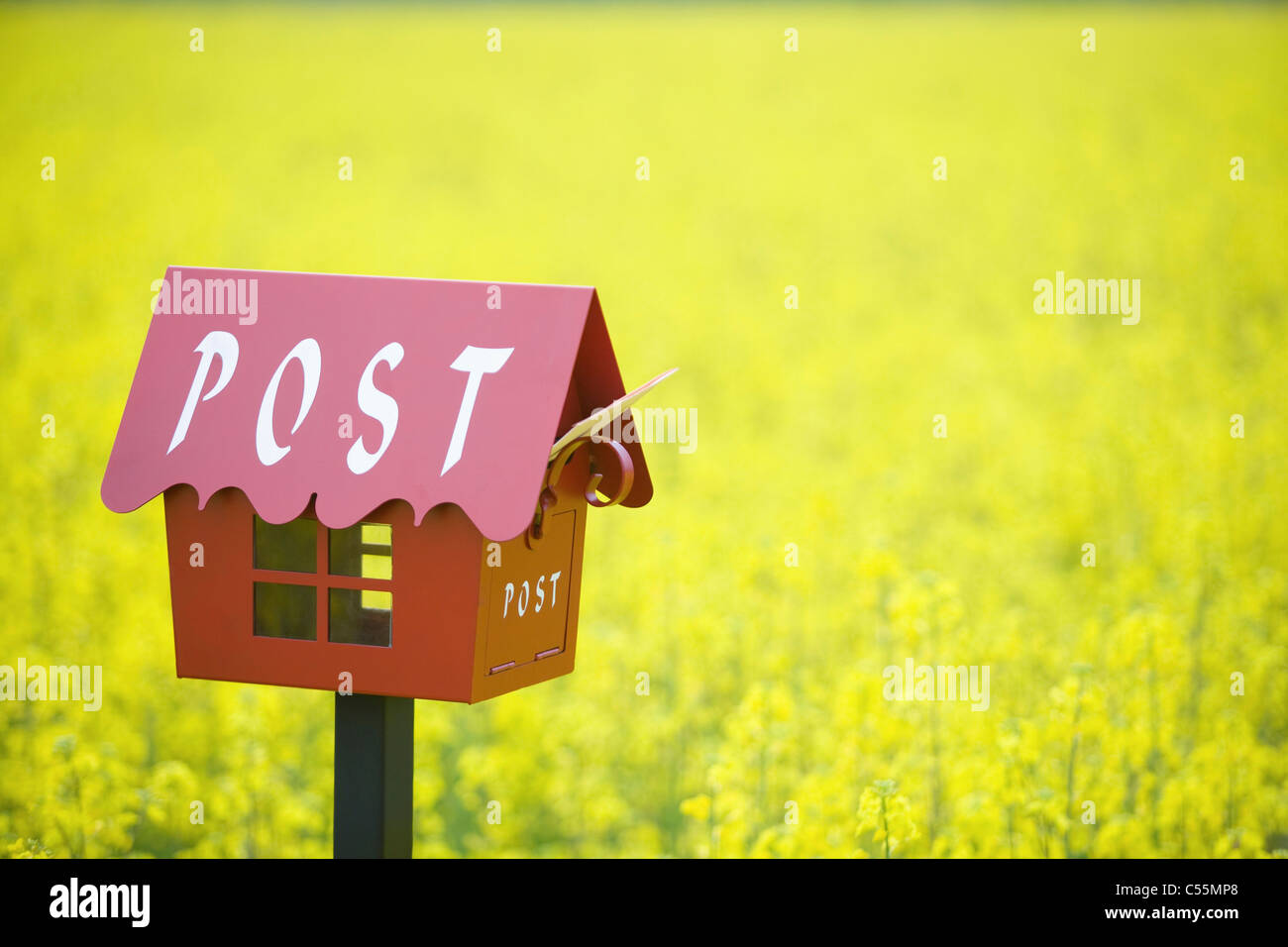 post box has letter in yellow flower field Stock Photo - Alamy