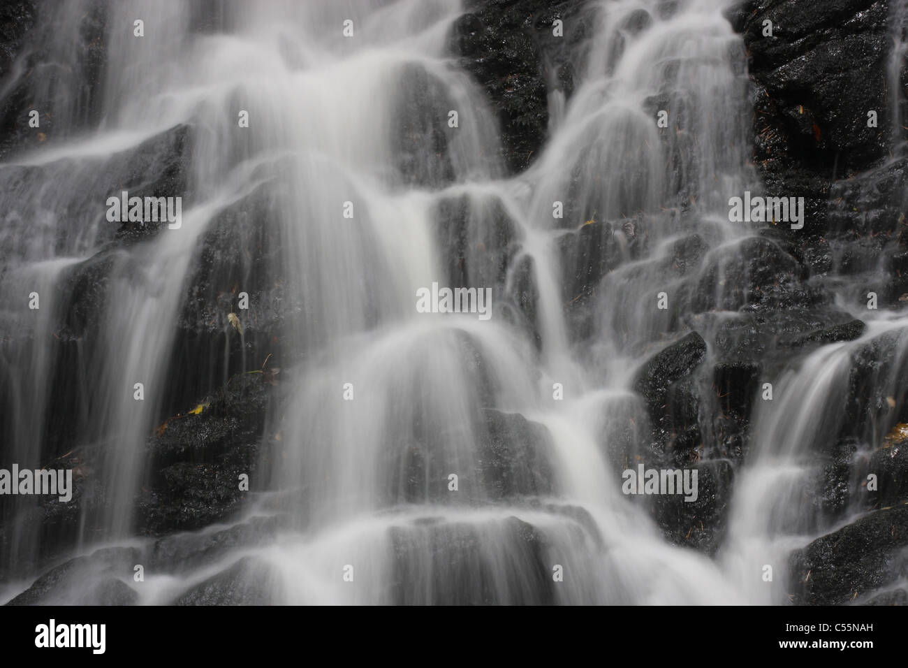 Fairy Glen Falls, Black Isle, Ross-shire, Highlands, Scotland, UK Stock ...