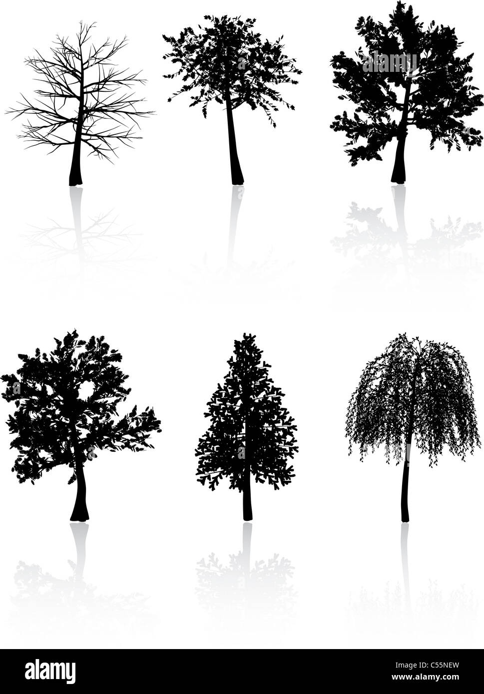 Various detailed tree silhouettes Stock Photo - Alamy