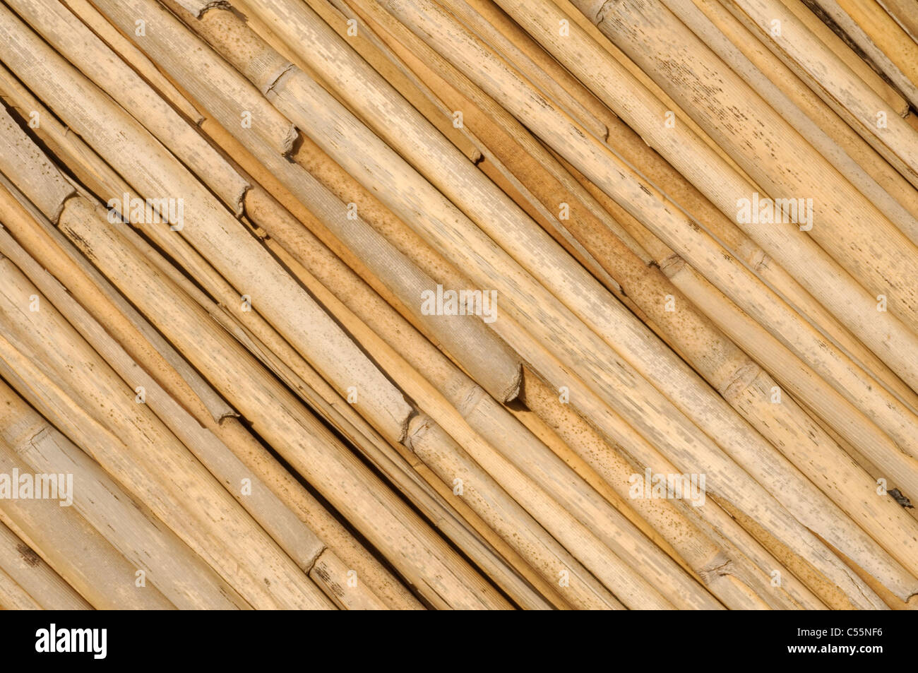 a reed structure Stock Photo - Alamy