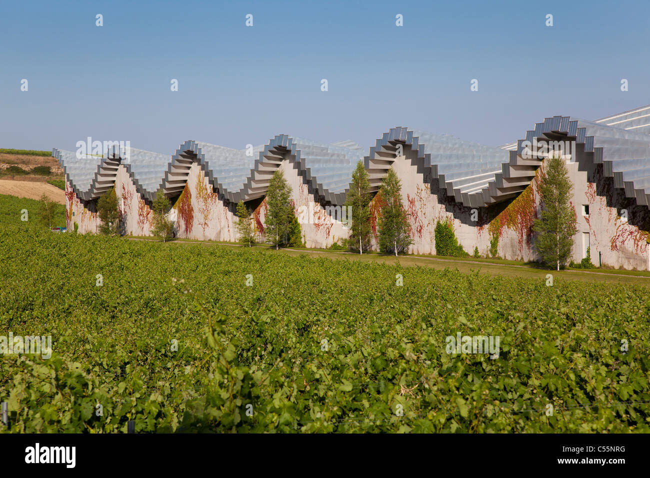 Ysios winery, Laguardia, Alava, Spain Stock Photo - Alamy