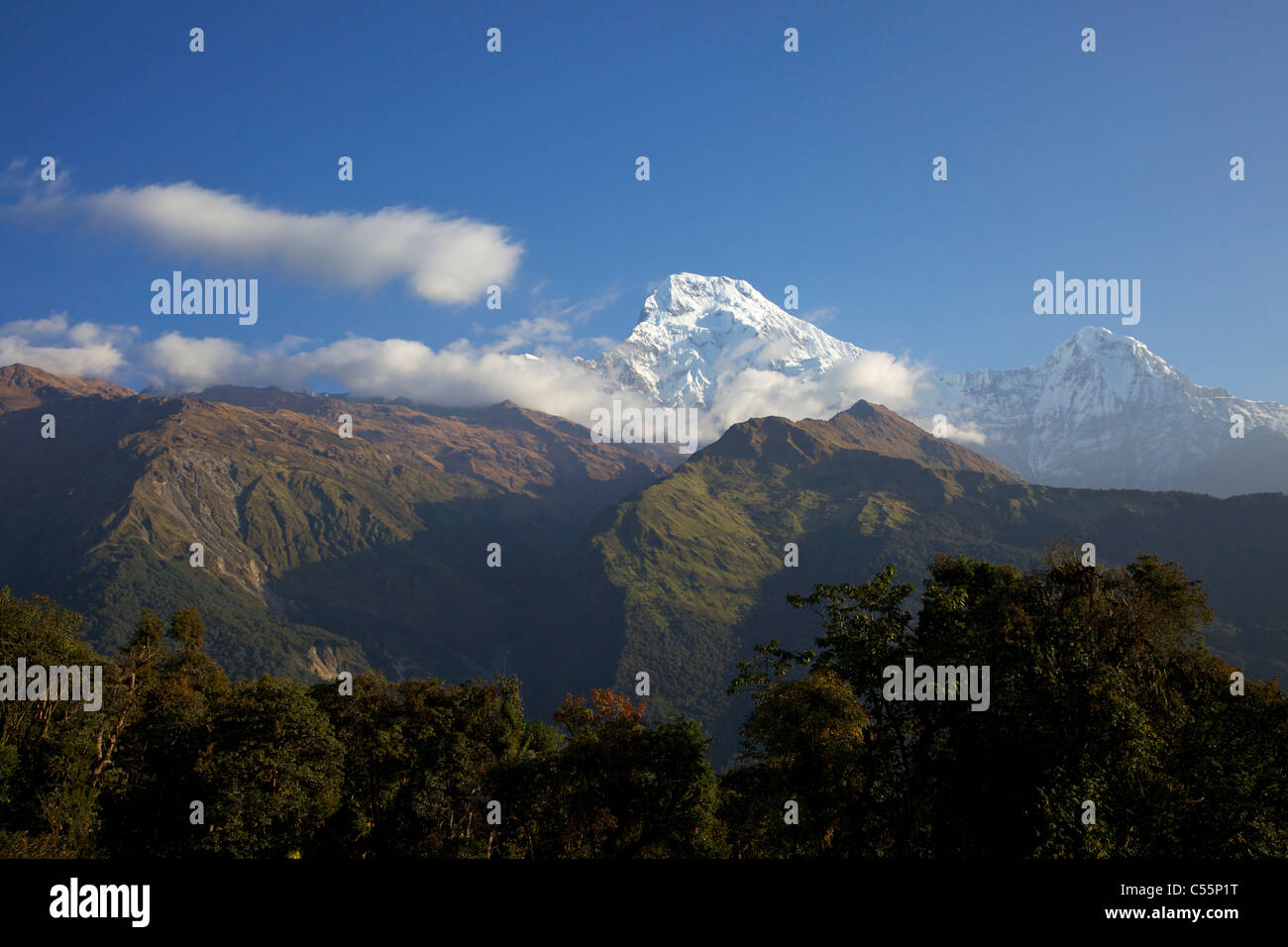 Annapurna range viewed from Tadapani, Annapurna Sanctuary, Himalayas ...