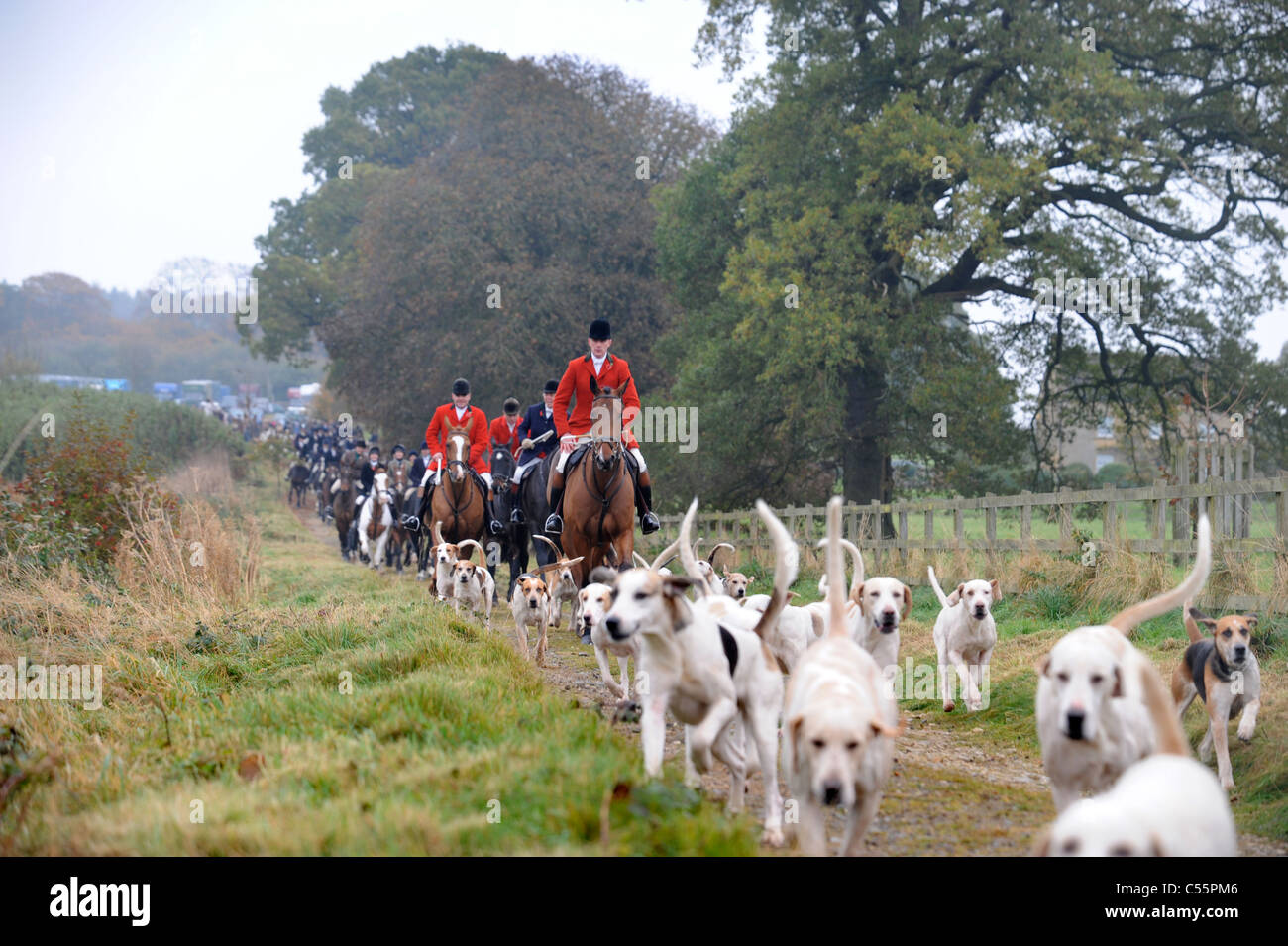 Hounds And Huntsman High Resolution Stock Photography and Images - Alamy