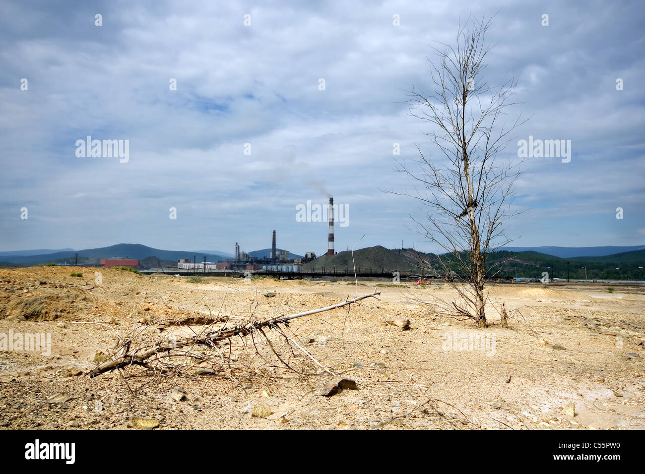 Dry dead trees. Dead ecological desert near the Karabash Copper ...