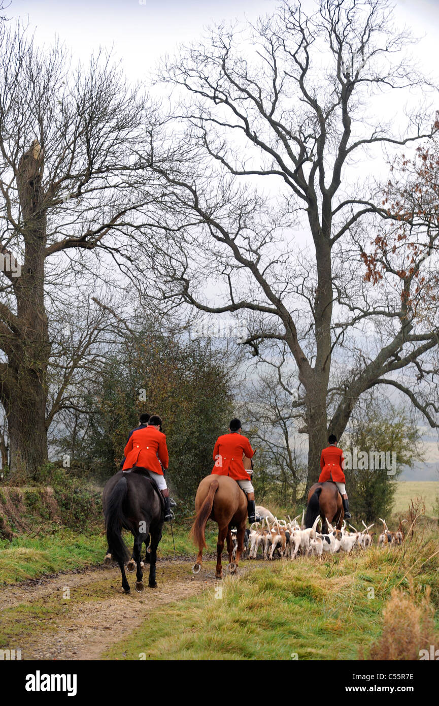 Huntsman and foot followers at the 150th anniversary Cotswold Hunt ...