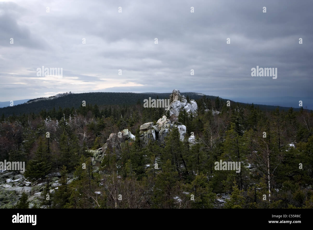 Taiga blocks forest firs tree fir rock hill hi-res stock photography ...
