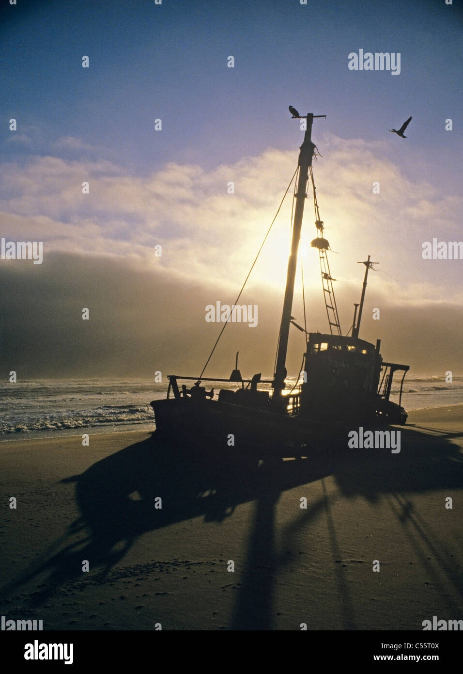 Shipwreck on the sands of Namibia's Skeleton Coast from 1973. near ...