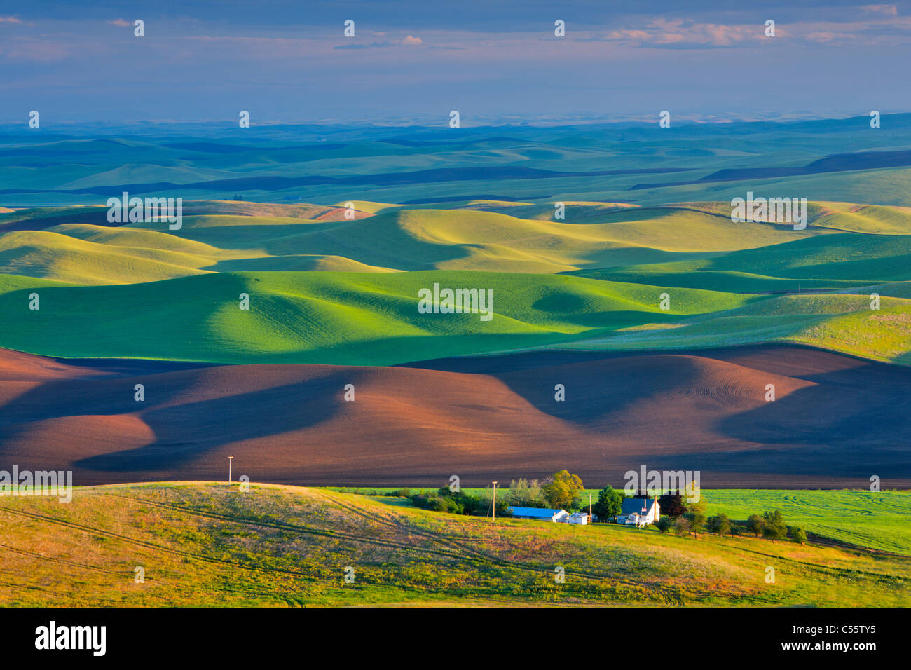 Farm at sunrise, Steptoe Butte, Palouse, Washington State, USA Stock ...