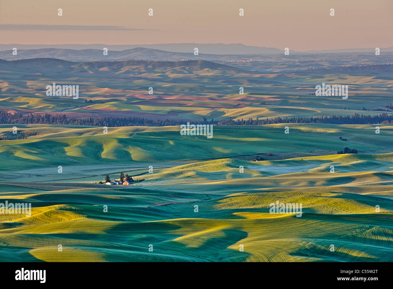 Farm, Palouse, Washington State, USA Stock Photo - Alamy