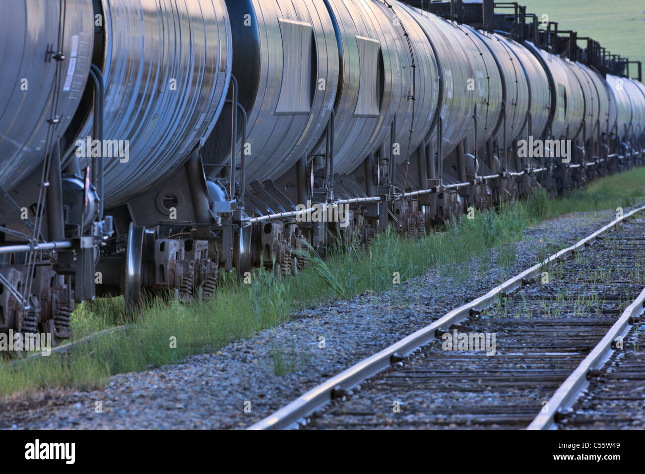 Tank cars in a shunting yard, Palouse, Washington State, USA Stock ...