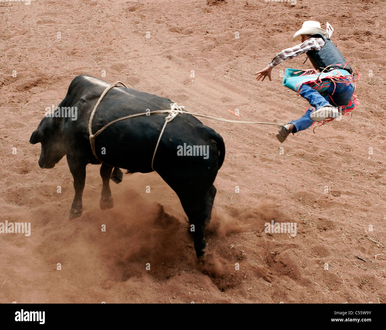 Bull rider hi-res stock photography and images - Alamy