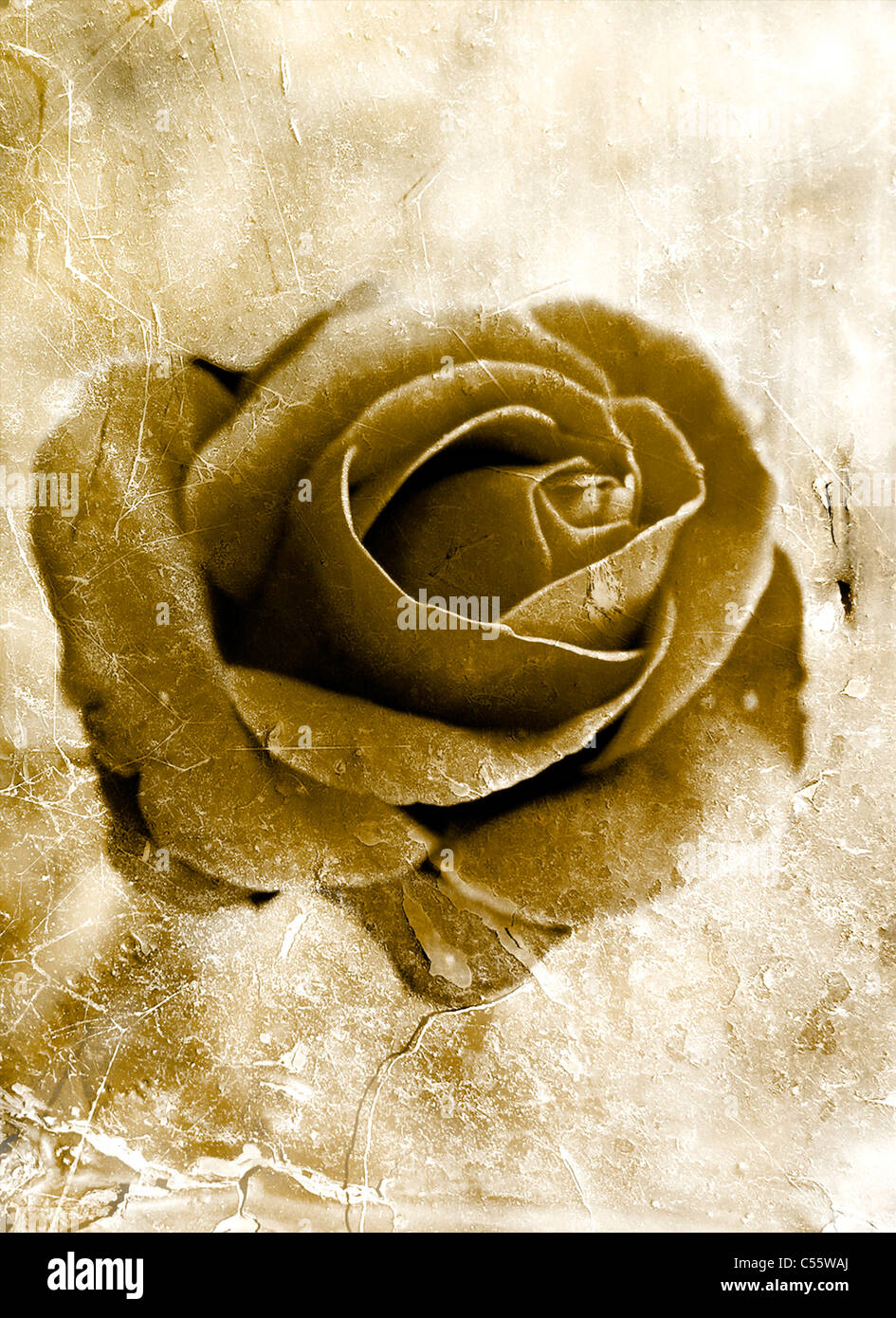 Grunge style rose background Stock Photo - Alamy