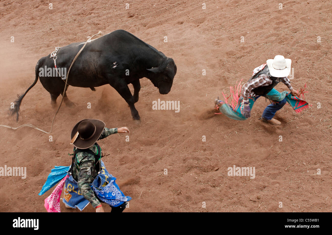 Competitor running from the bull after a fall during the bull riding ...