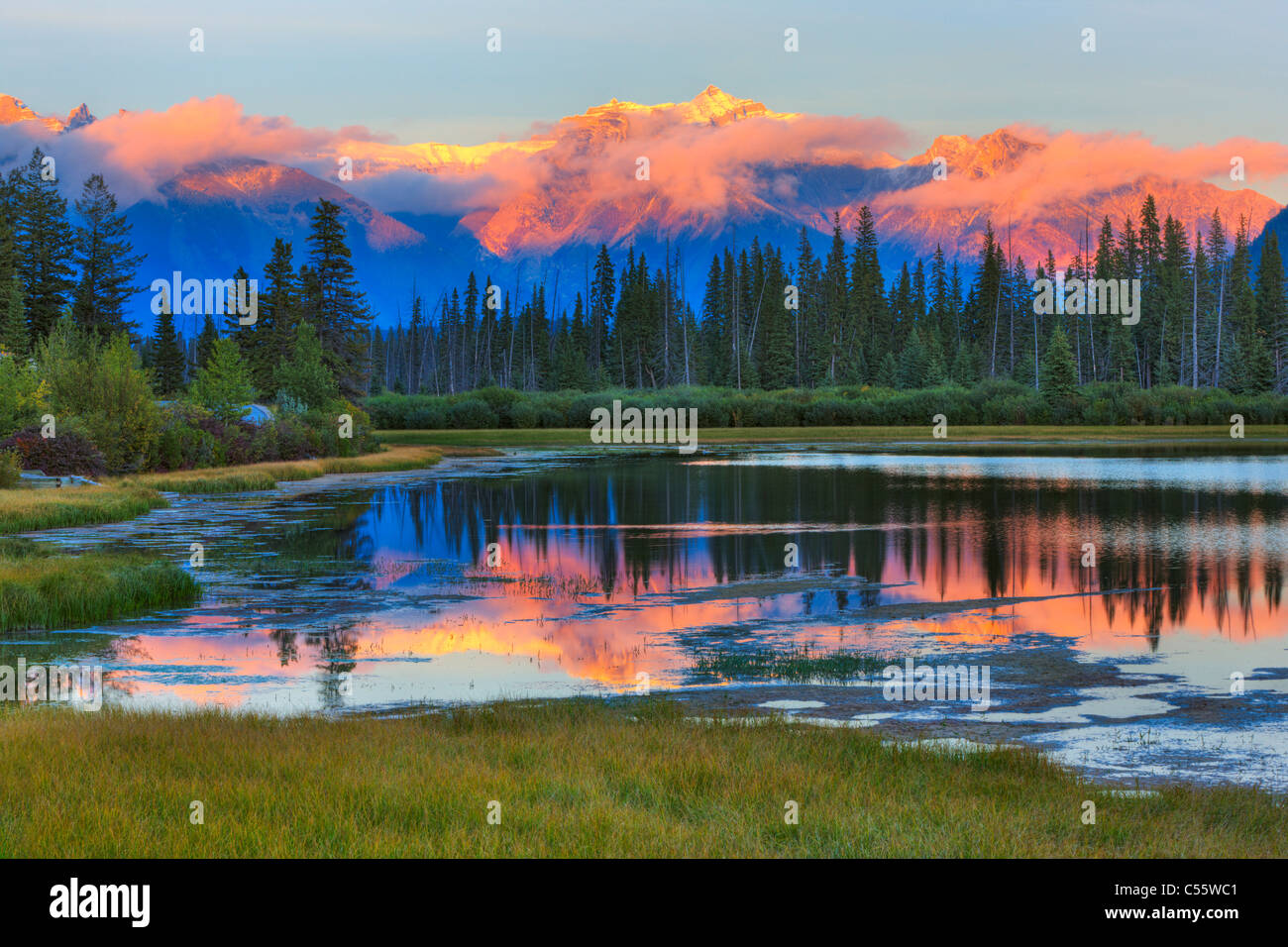 Reflection of trees in a lake, Vermilion Lakes, Banff National Park ...