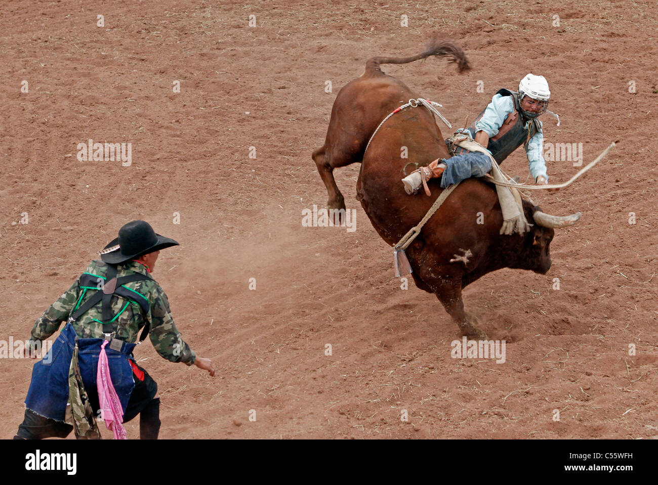 Competitor in the bull riding event at the Annual Indian Rodeo held in ...