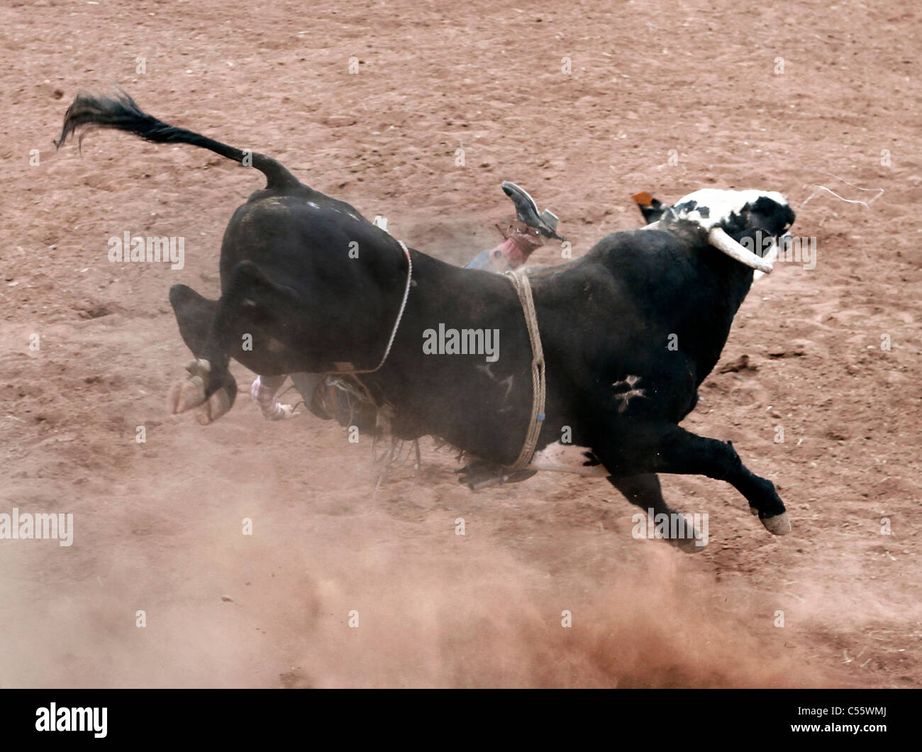 Falling Rider High Resolution Stock Photography and Images - Alamy