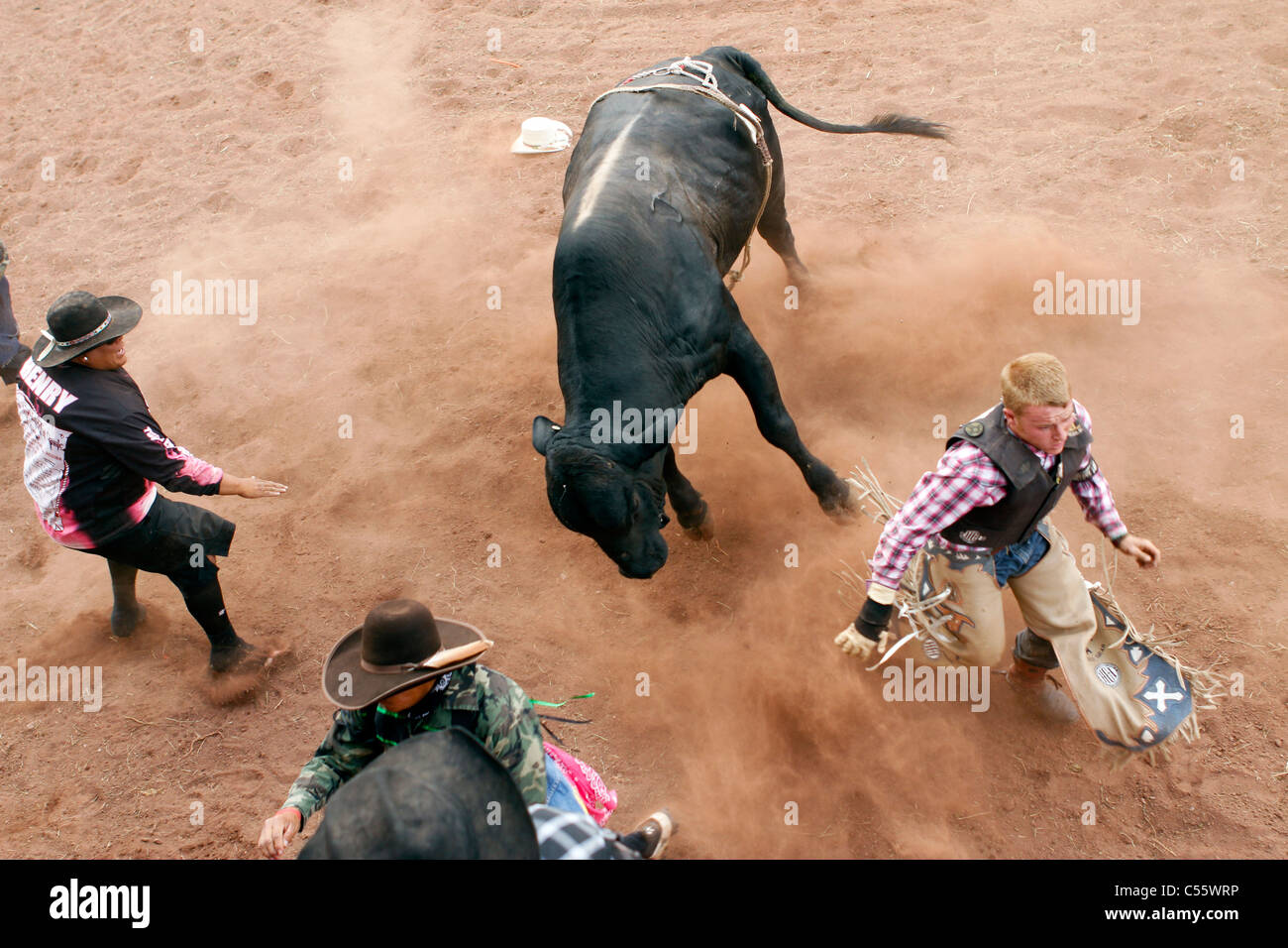 Competitor running from the bull after a fall during the bull riding ...
