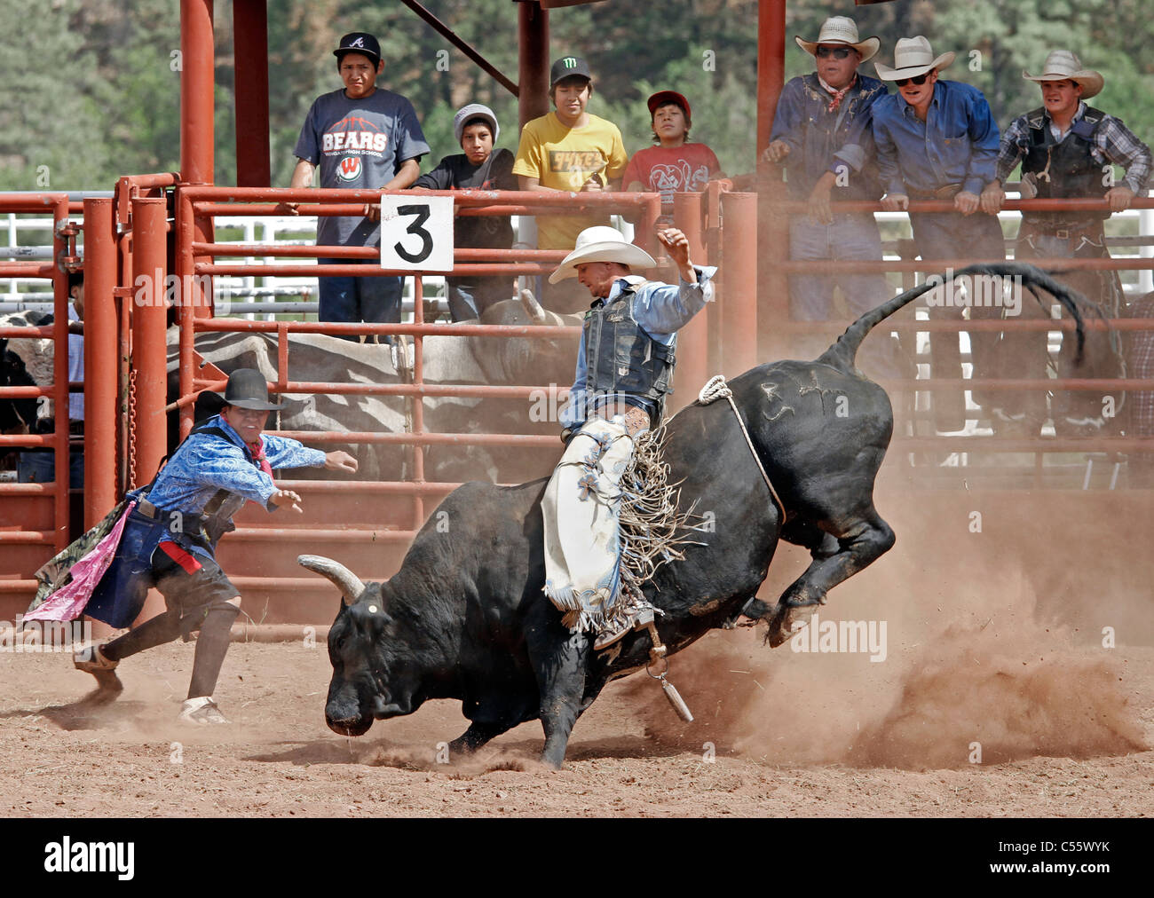 Competitor in the bull riding event at the Annual Indian Rodeo held in ...
