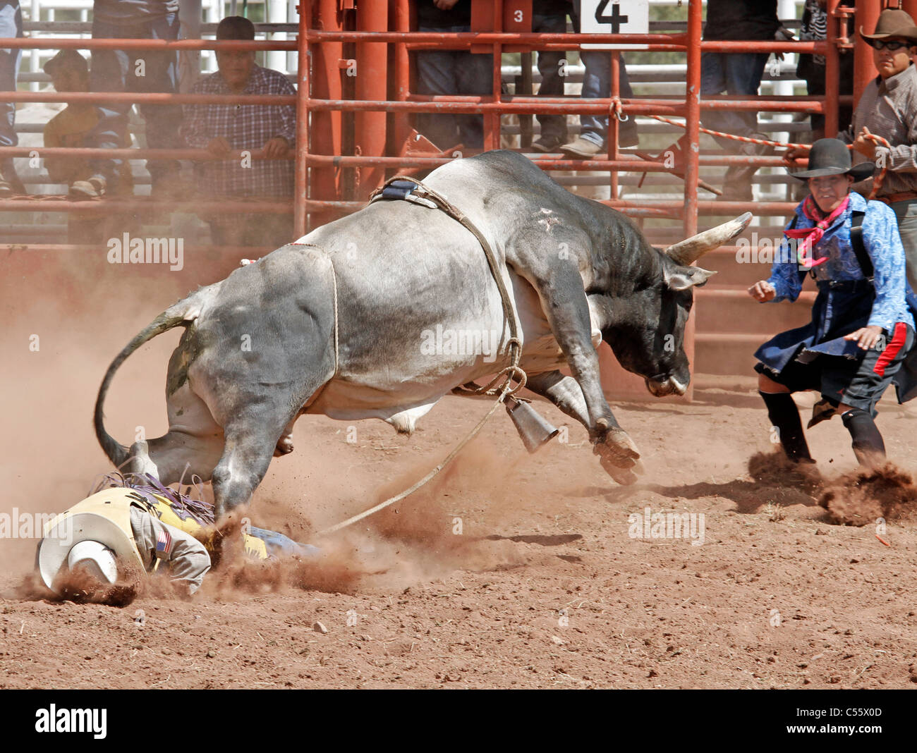 Competitor on the ground after a hard fall during the bull riding event ...