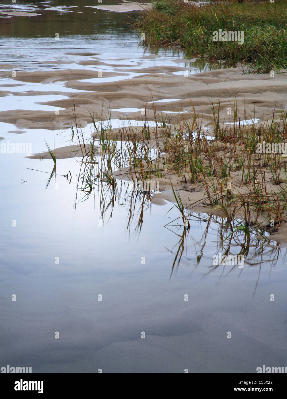 Sandy Shallows And Beach Grass Along The Cape Cod National Seashore ...