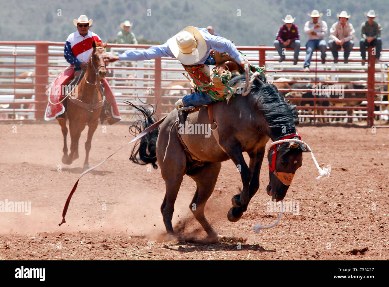 Competitor in the bronco riding event at theAnnual Indian Rodeo held in ...