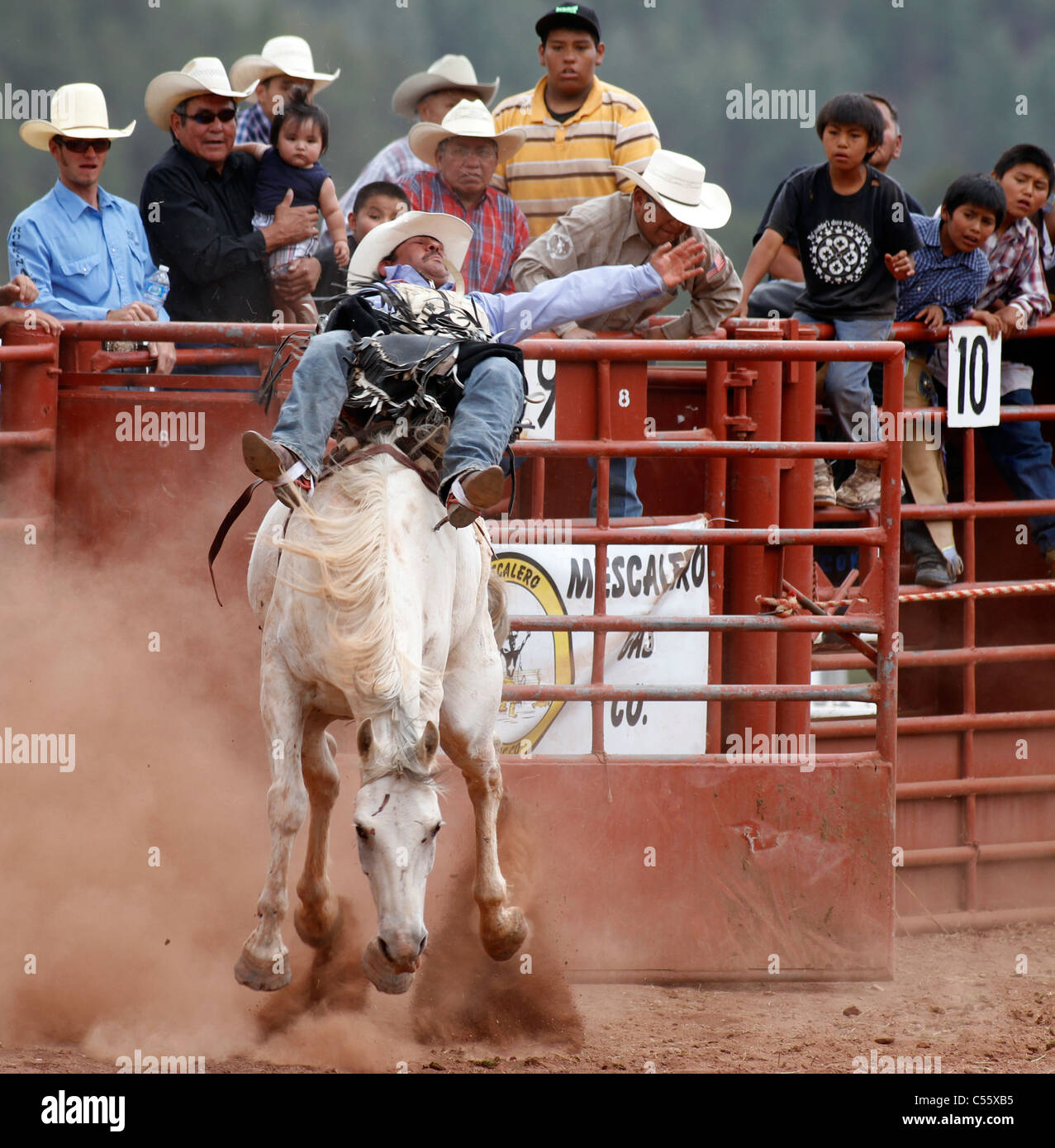 Competitor in the bronco riding event at the annual Annual Indian Rodeo ...