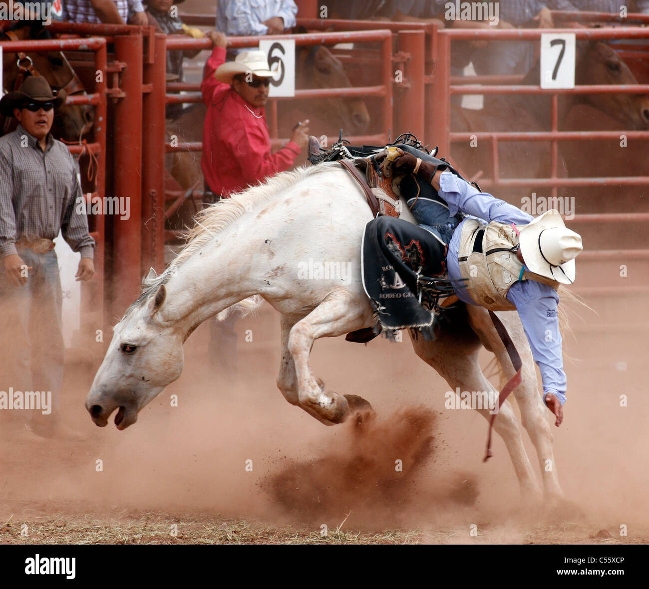 Bronco rodeo hi-res stock photography and images - Alamy