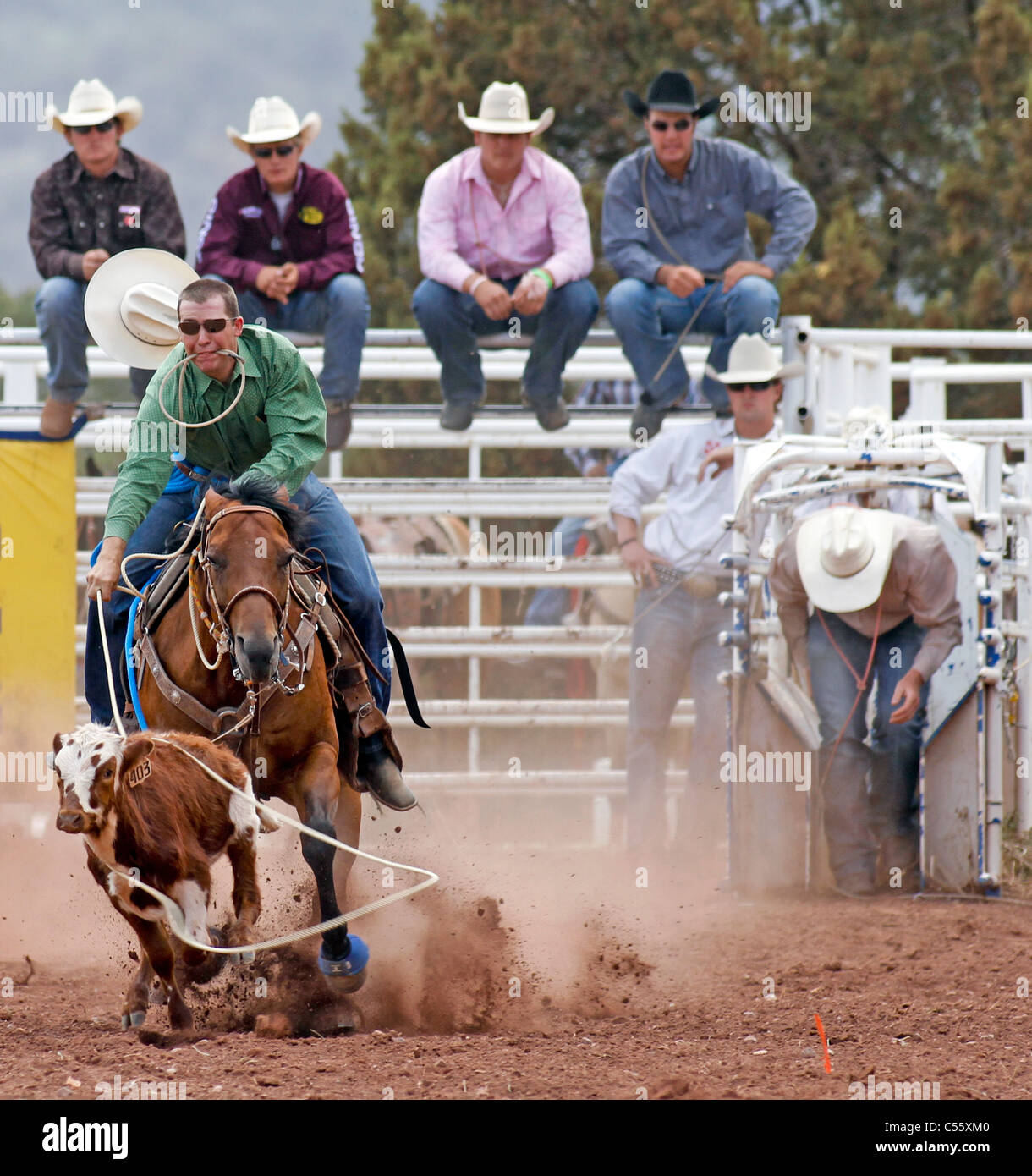 Calf Roper High Resolution Stock Photography and Images - Alamy