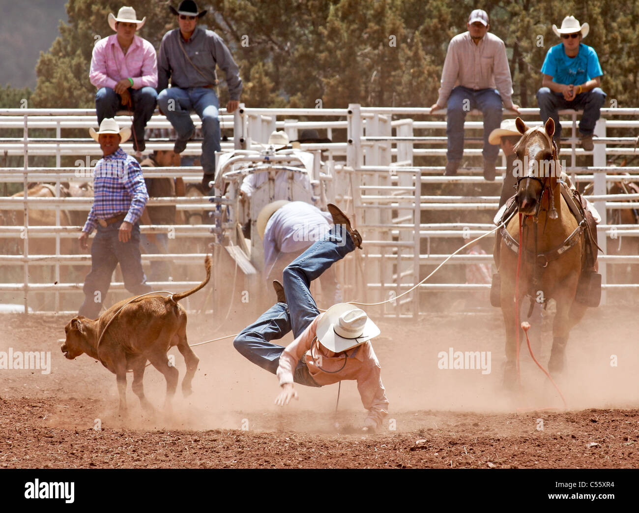 Horse rider falling hi-res stock photography and images - Alamy