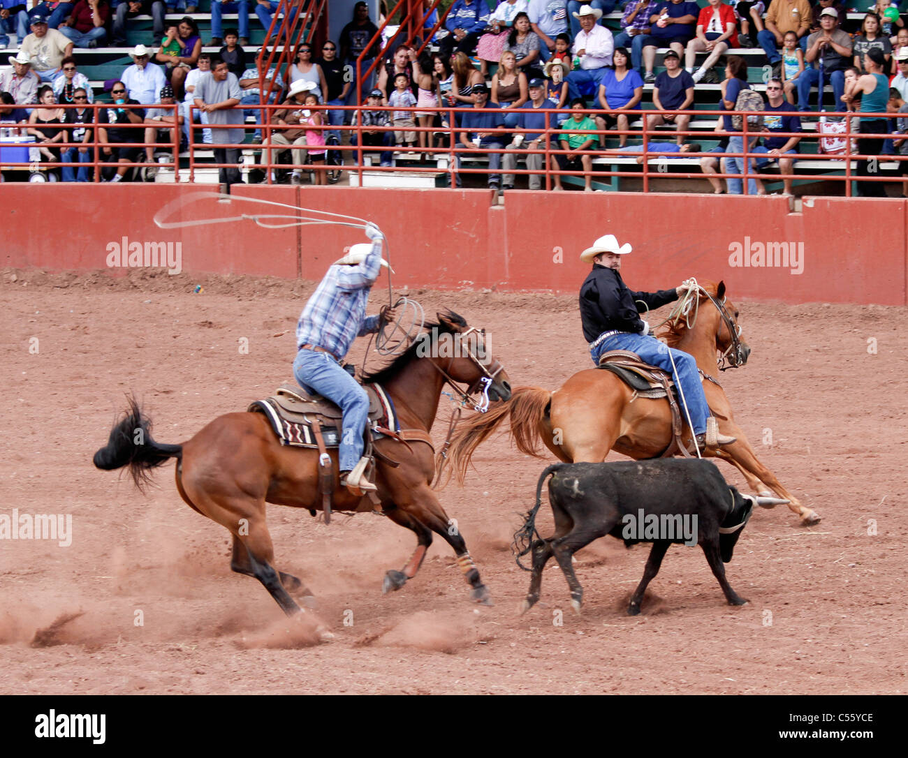 Team Roping Pictures 1,223 Team Roping Stock Photos Free