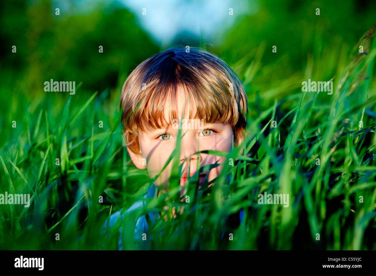 Boy hiding in grass Stock Photo - Alamy