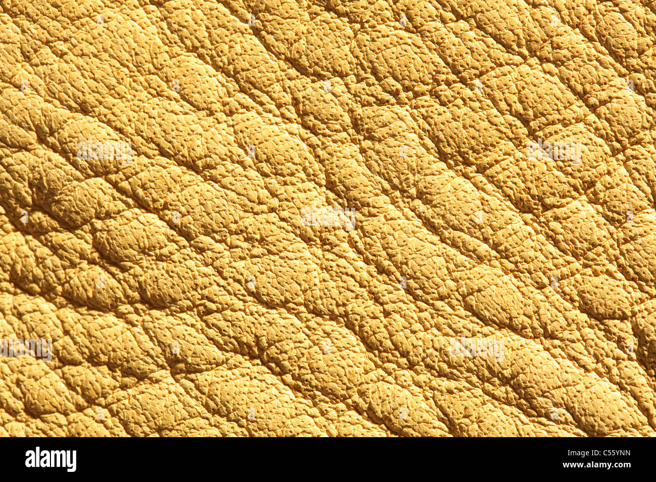 Leather pattern hi-res stock photography and images - Alamy