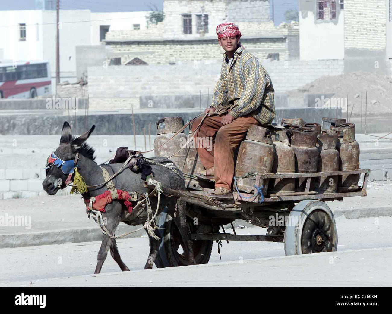 Young man traveling by donkey and cart, Iraq, Middle East Stock Photo ...