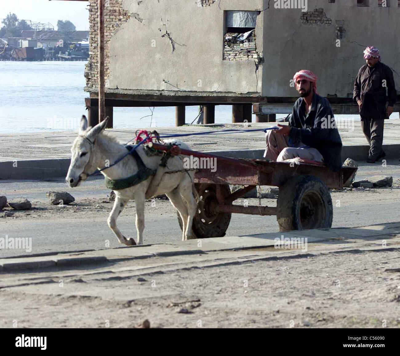 Young man traveling by donkey and cart, Iraq, Middle East Stock Photo ...