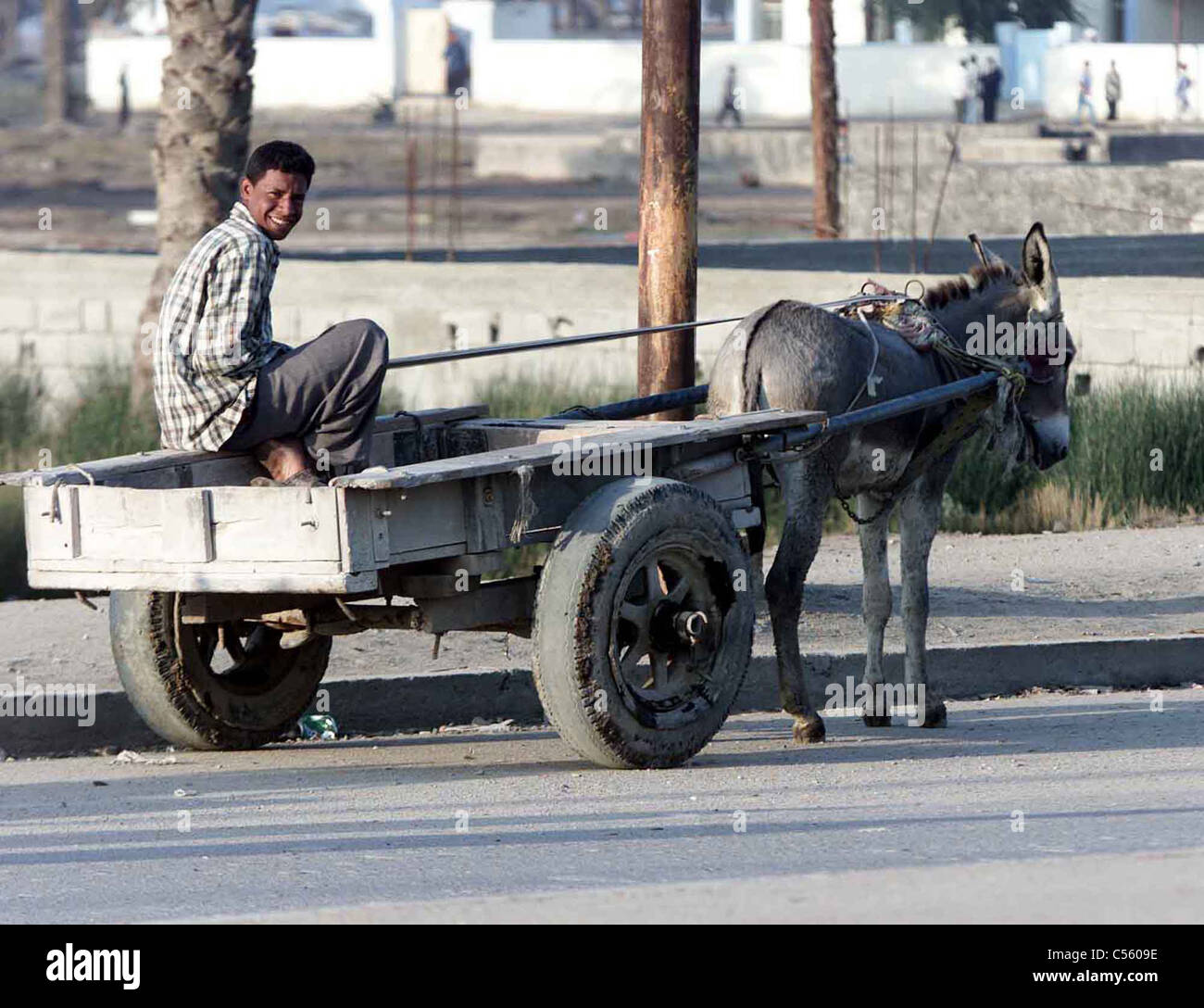 Young man traveling by donkey and cart, Iraq, Middle East Stock Photo ...