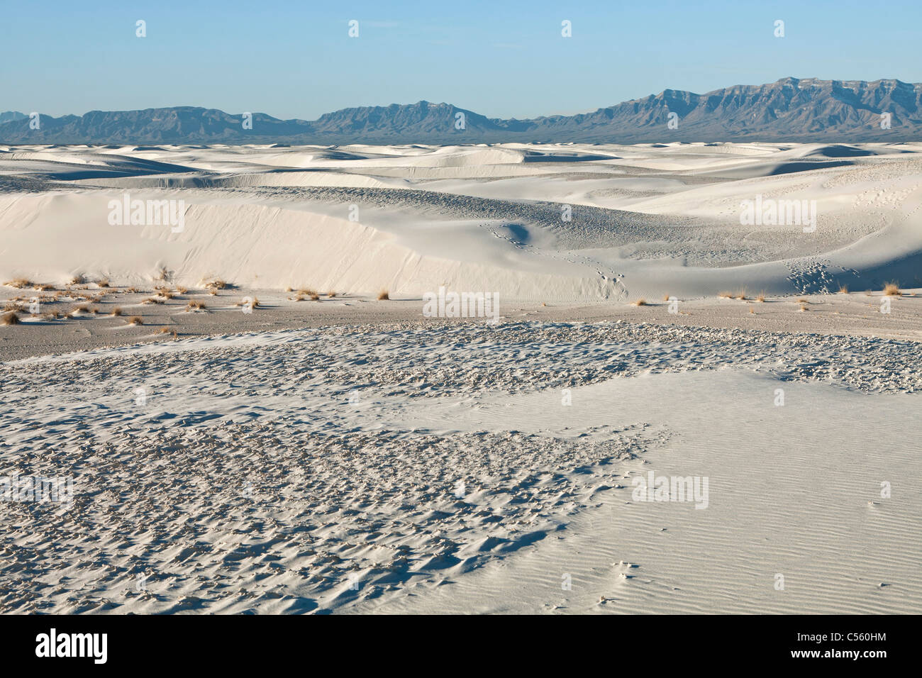 Sand dunes with mountain range in the background, San Andres Mountains ...