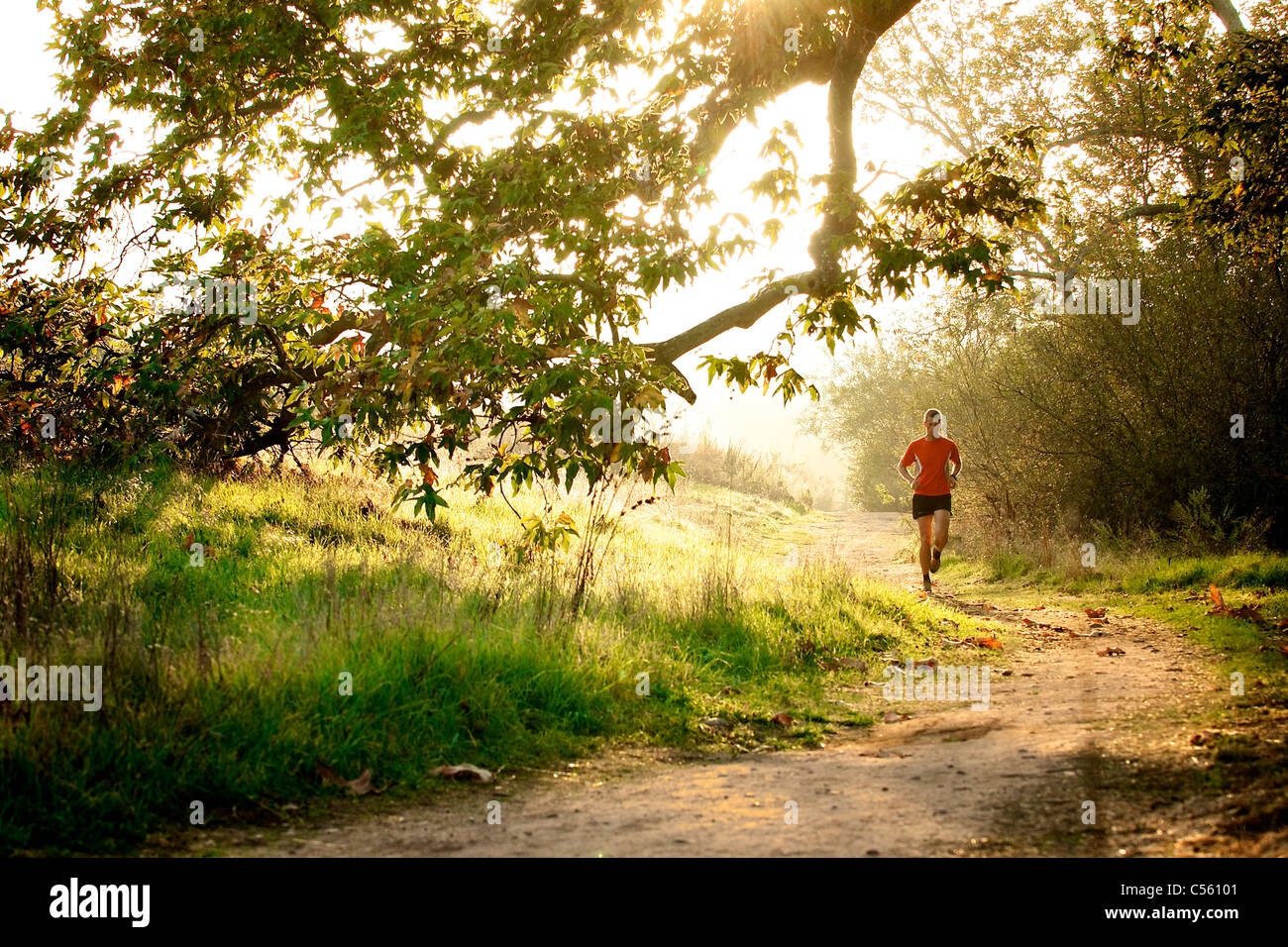 Man running at sunset in a park, San Clemente Canyon, San Diego County ...