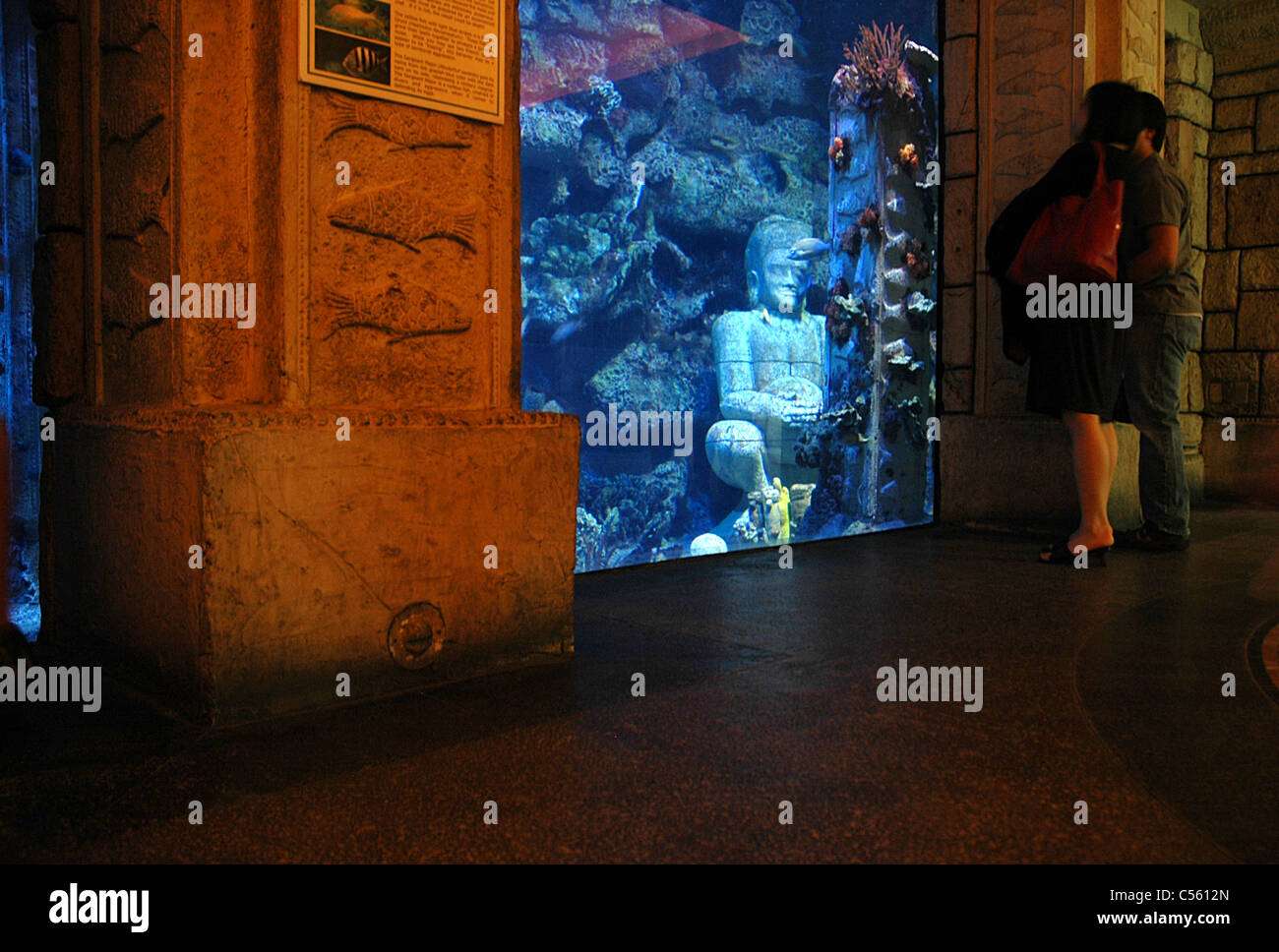 Two tourists watch reef fish at the Reef at Mandalay Bay attraction at ...