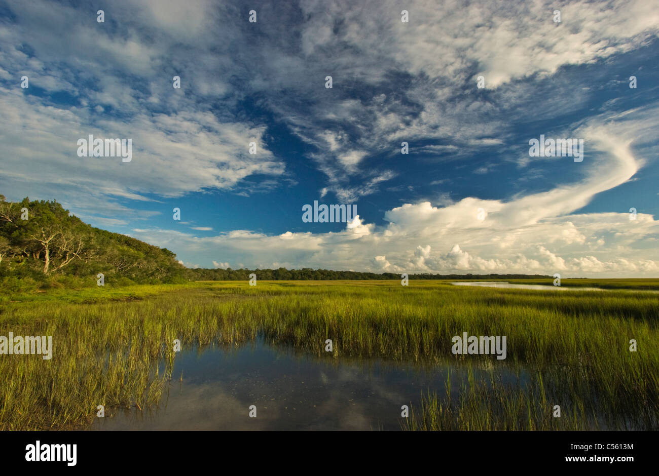 USA, Florida, Big Talbot Island State Park, Salt Marsh Stock Photo - Alamy