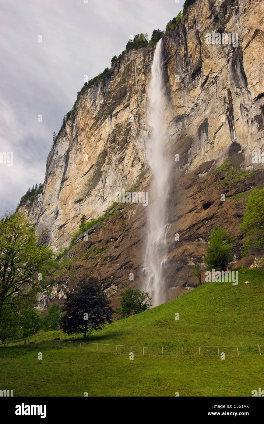 Low angle view of a waterfall, Staubbach Falls, Lauterbrunnen ...